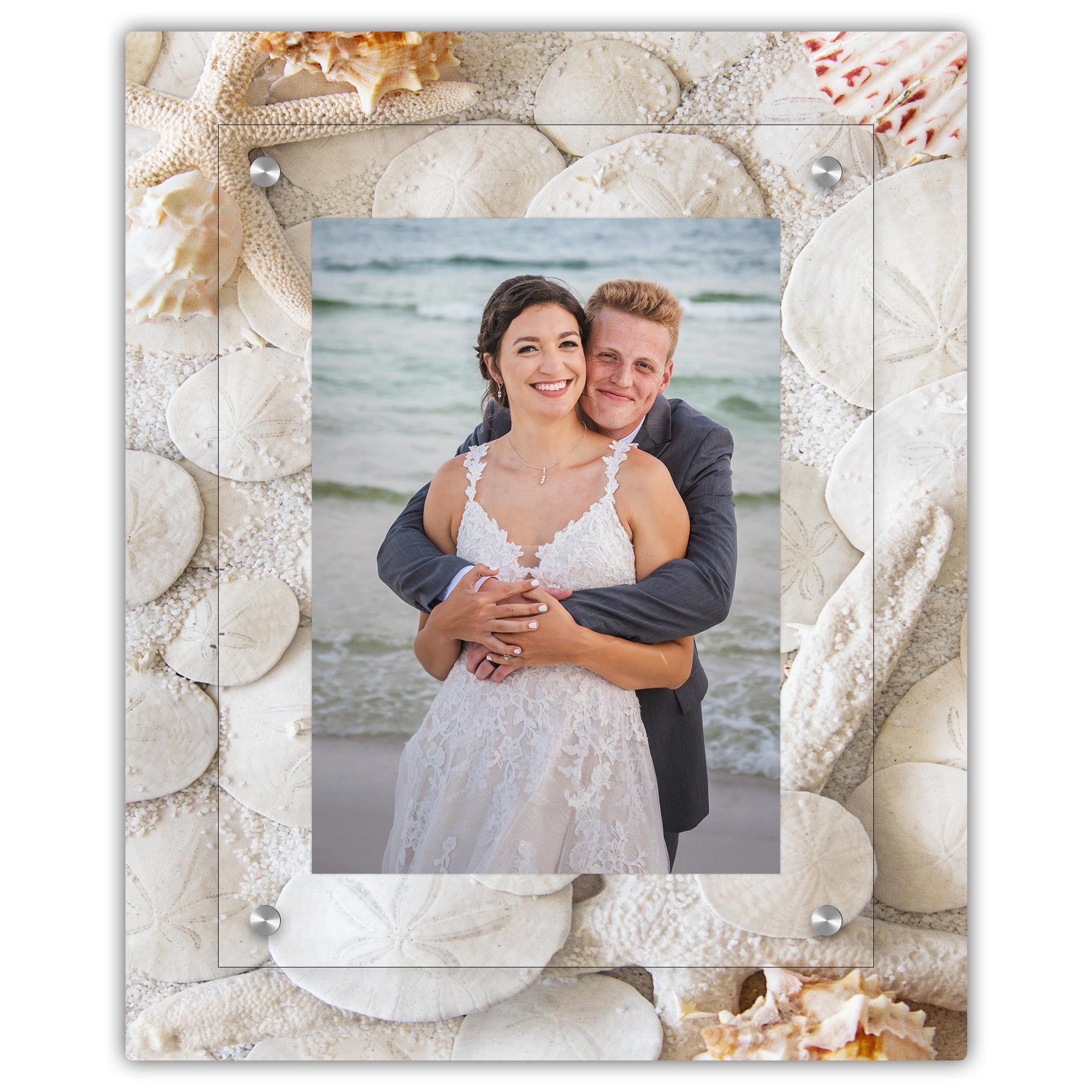 Sand Dollars | Modern Picture Frames, Unique Home Decor | The Modern Angle